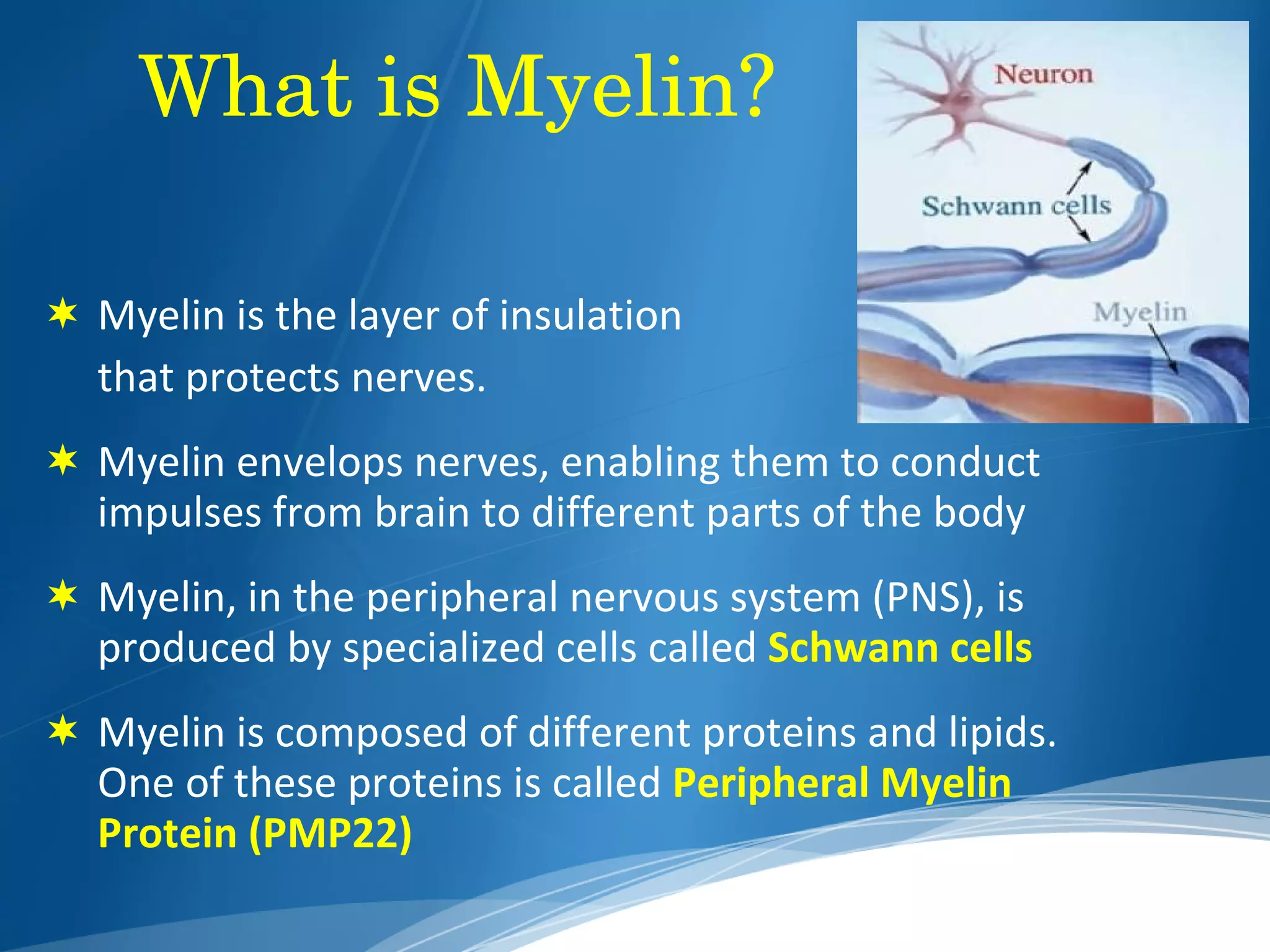 CMT slides: understand the disease. | PPT