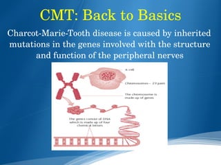 CMT slides: understand the disease. | PPT