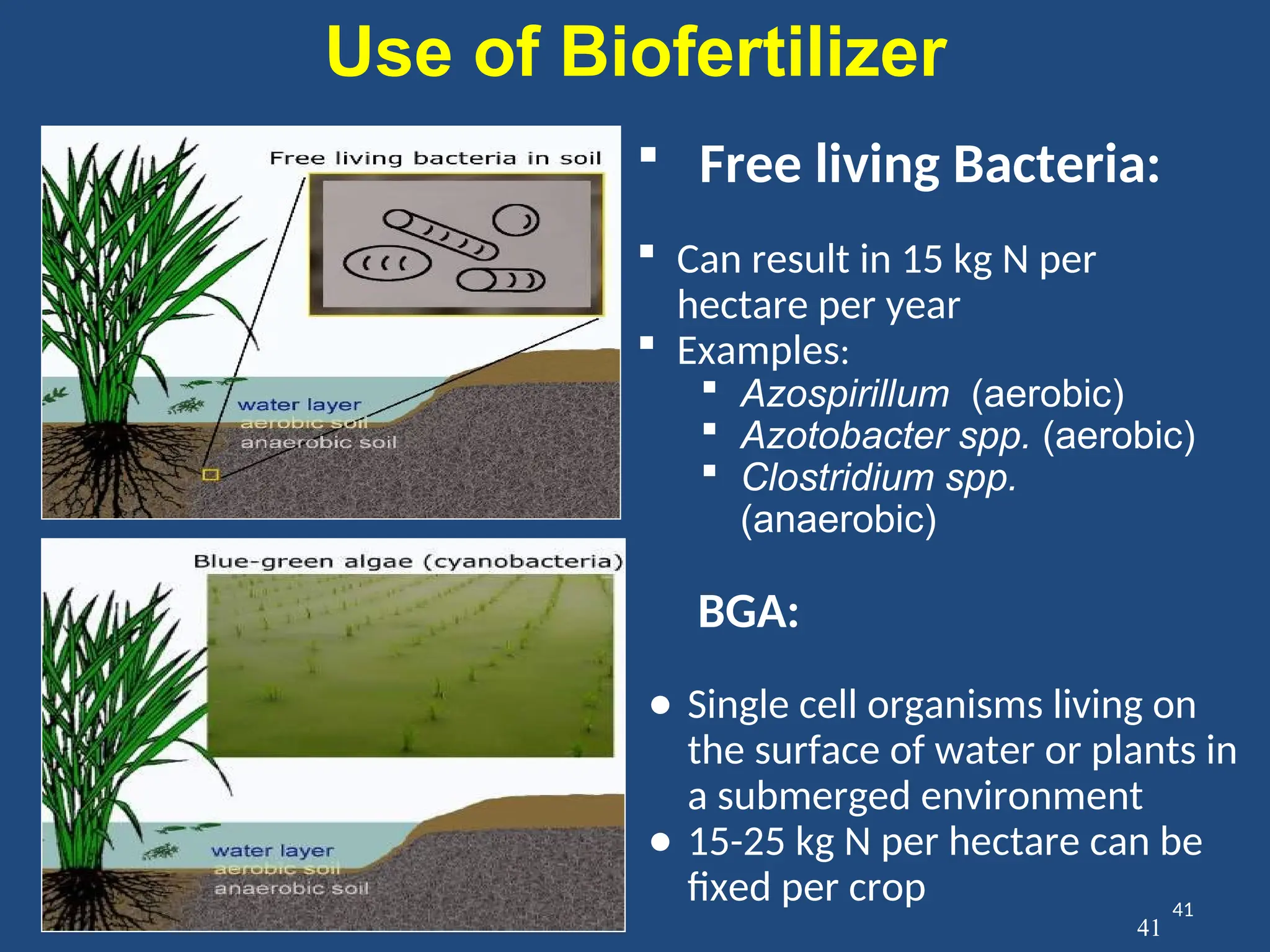 Presentation on nutrient management rice | PPT