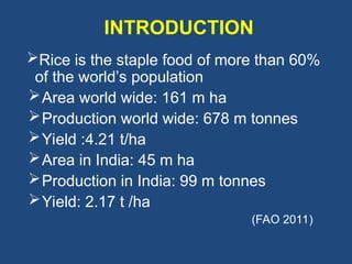 Presentation on nutrient management rice | PPT