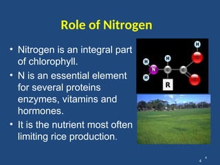 Presentation on nutrient management rice | PPT