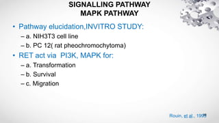 Papillary thyroid carcinoma | PPTX
