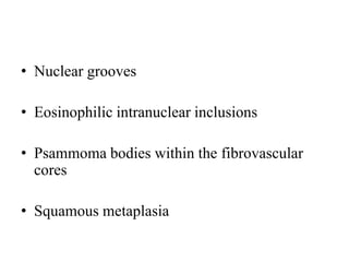 Papillary thyroid carcinoma | PPTX