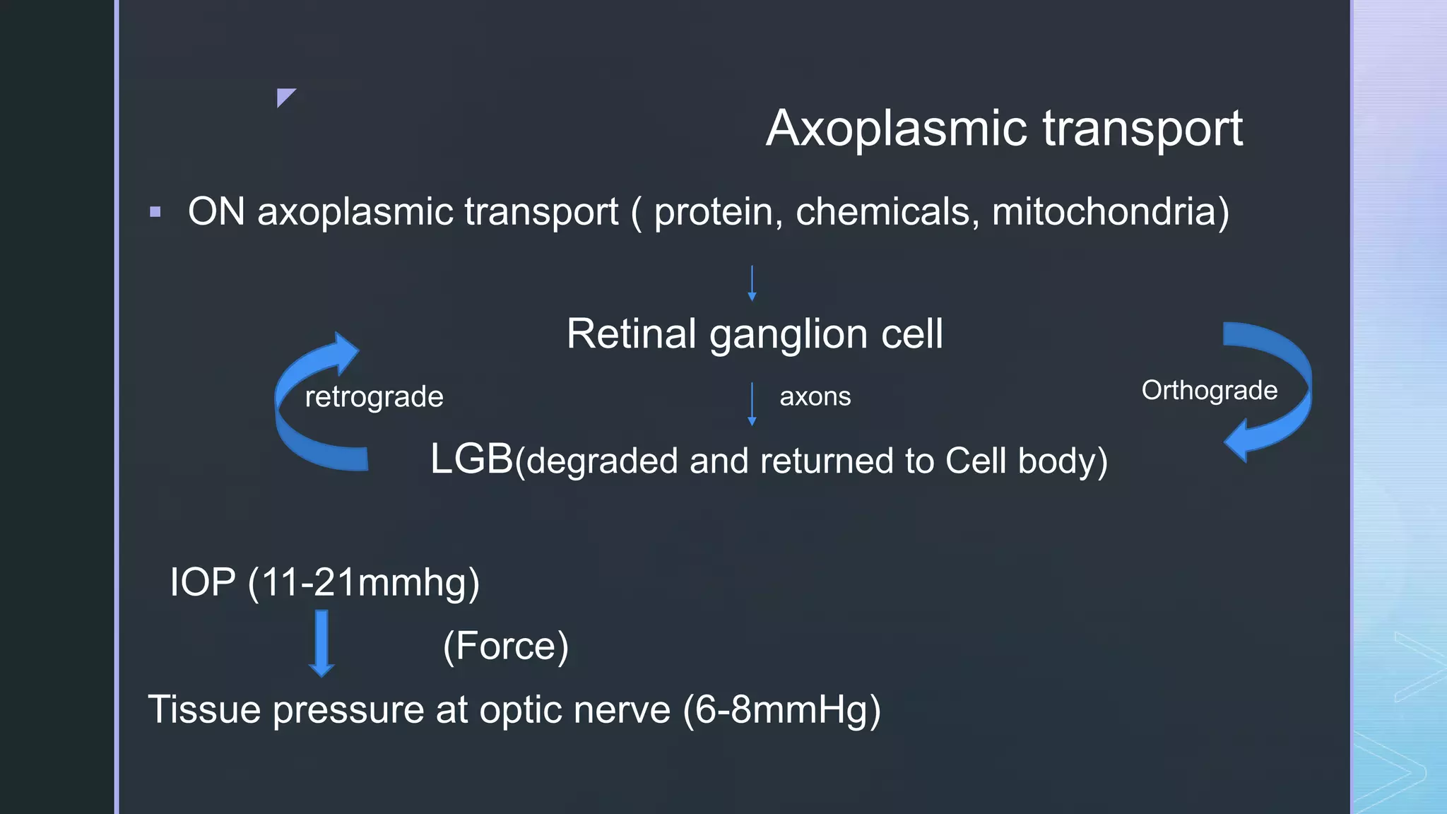 Papilledema - Optic Nerve Head Swelling | PPTX