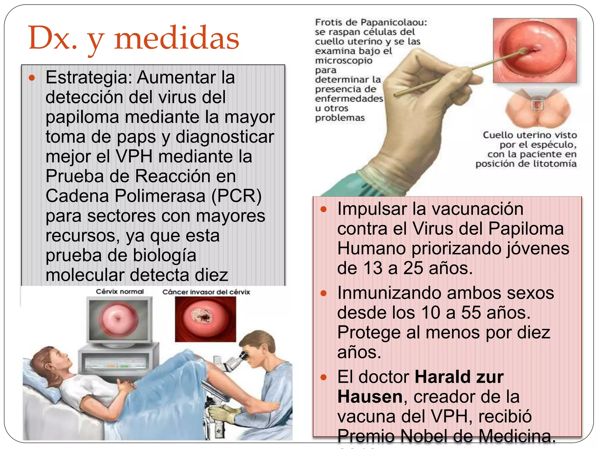 Papiloma virus | PPTX | Biological Sciences | Science