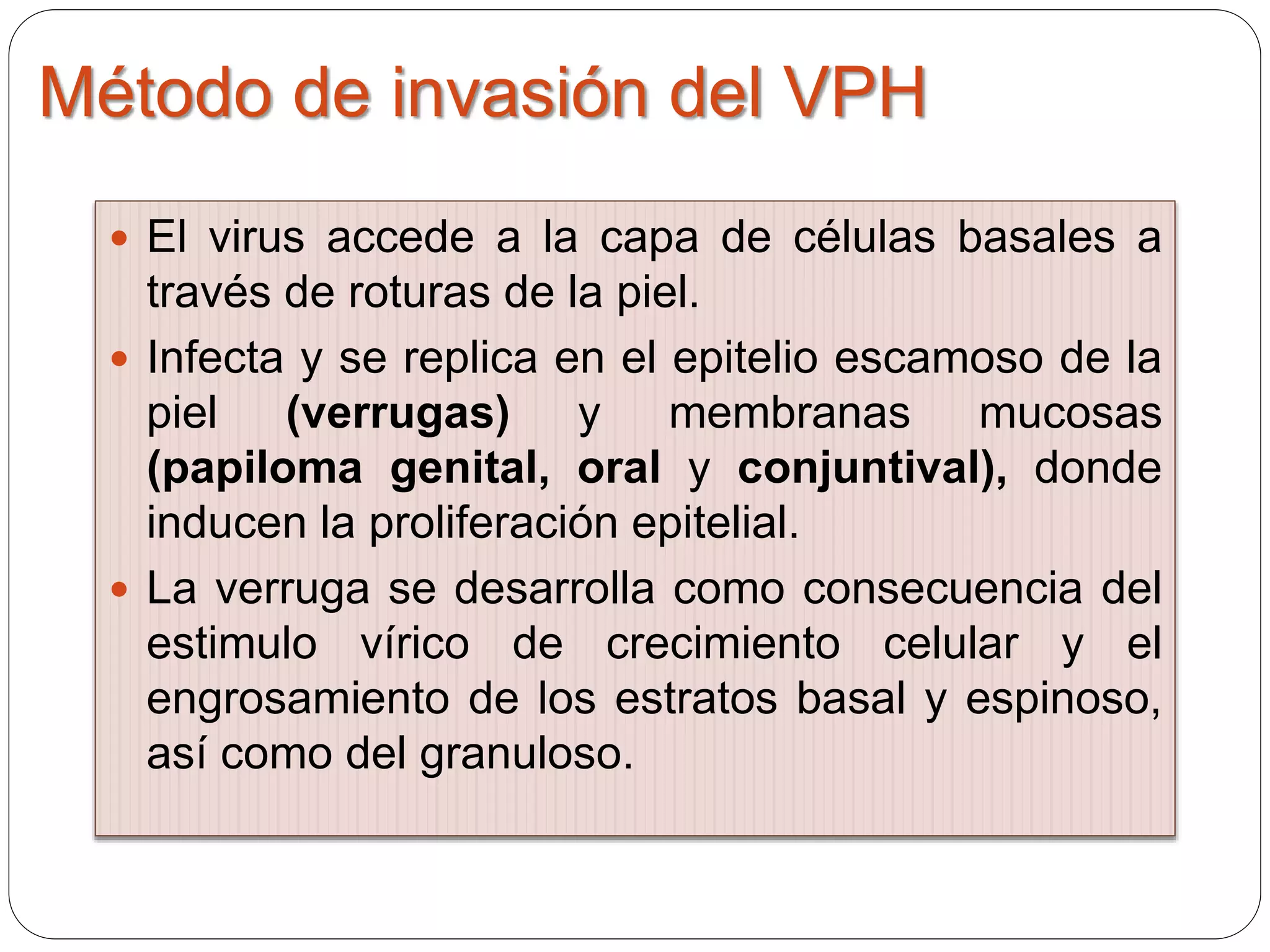 Papiloma virus | PPTX | Biological Sciences | Science