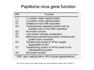 Papilomavirus.ppt
