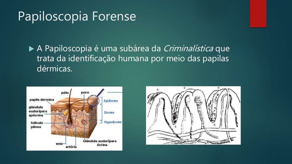 Papiloscopia Forense