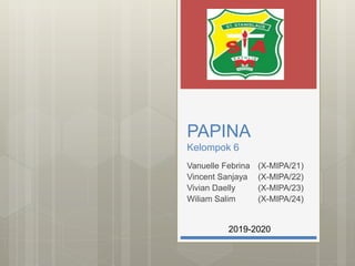 Papina | PPT