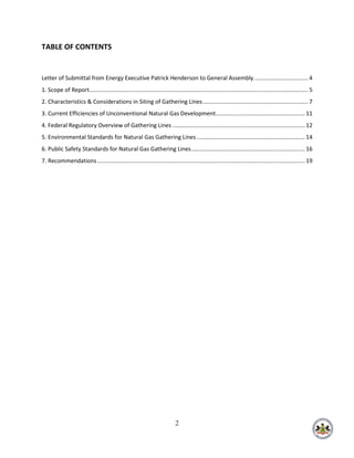 Report to the General Assembly on Pipeline Placement of Natural Gas ...