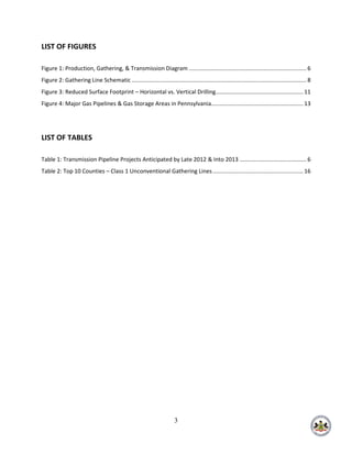 Report to the General Assembly on Pipeline Placement of Natural Gas ...