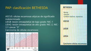 PAP, IVAA y DNA-PVH (1).pptx