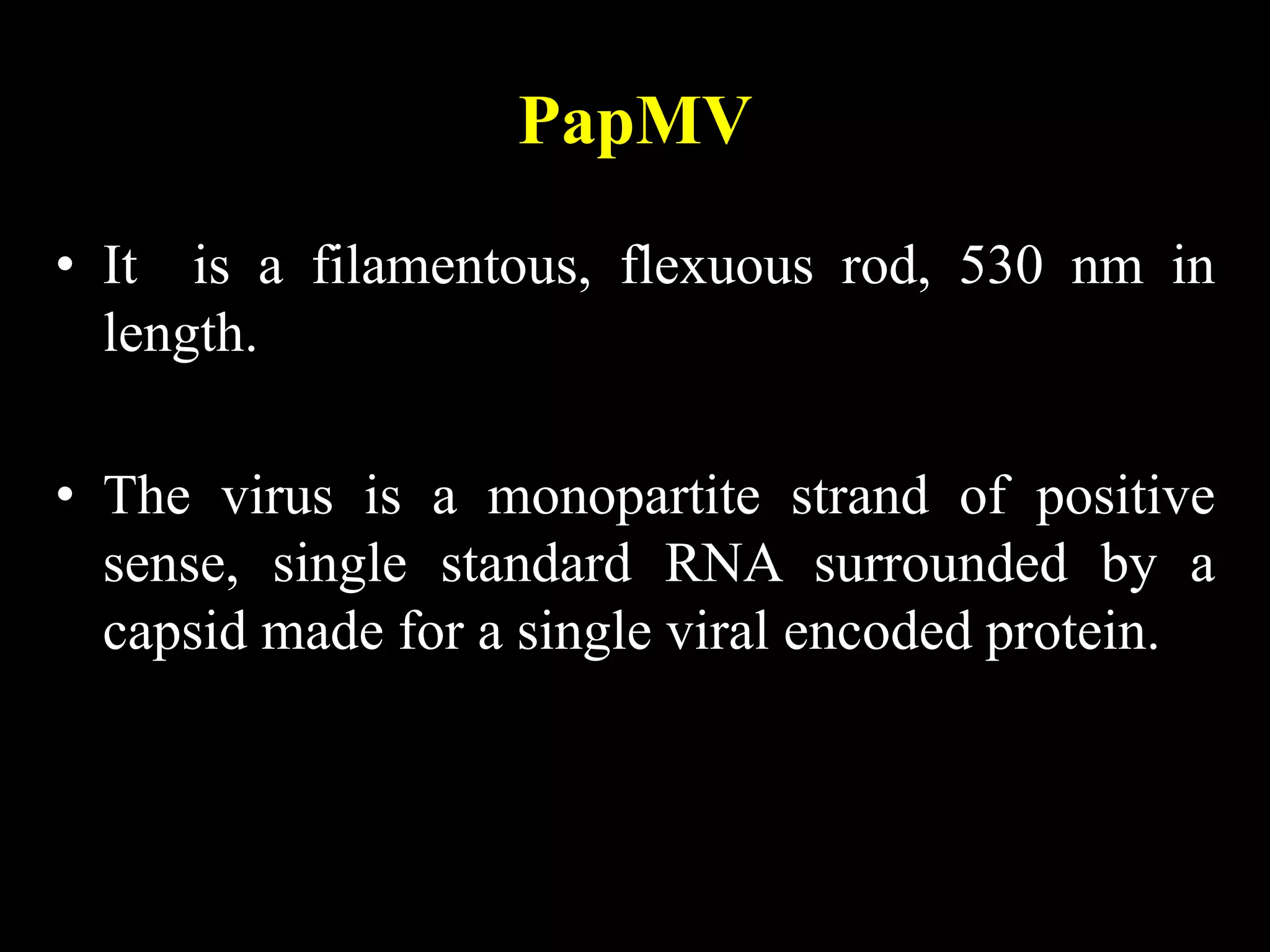 Papaya mosaic virus | PPTX