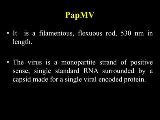 Papaya mosaic virus | PPTX