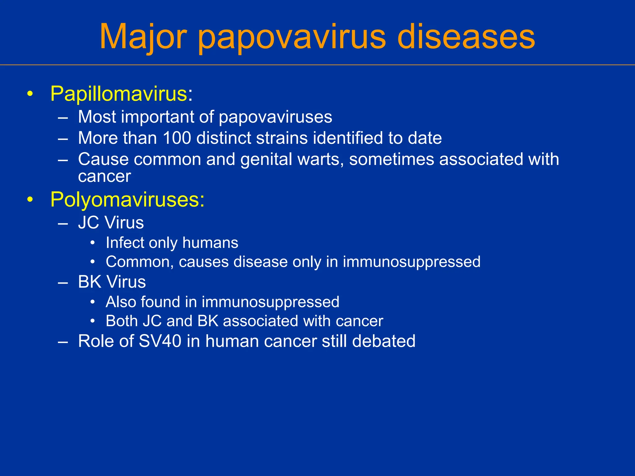 Papovavirus2005.ppt
