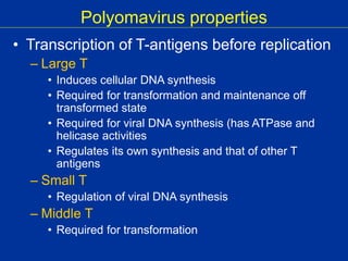 Papovavirus2005.ppt