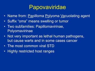 Papovavirus2005.ppt