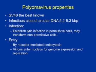 Papovavirus2005.ppt
