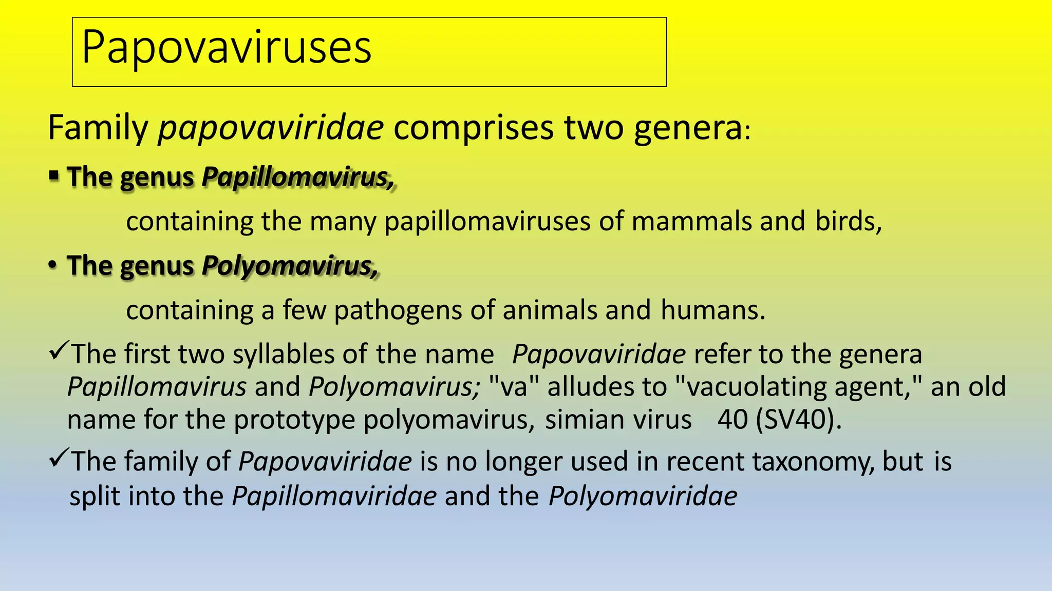 Papova viruses | PPTX
