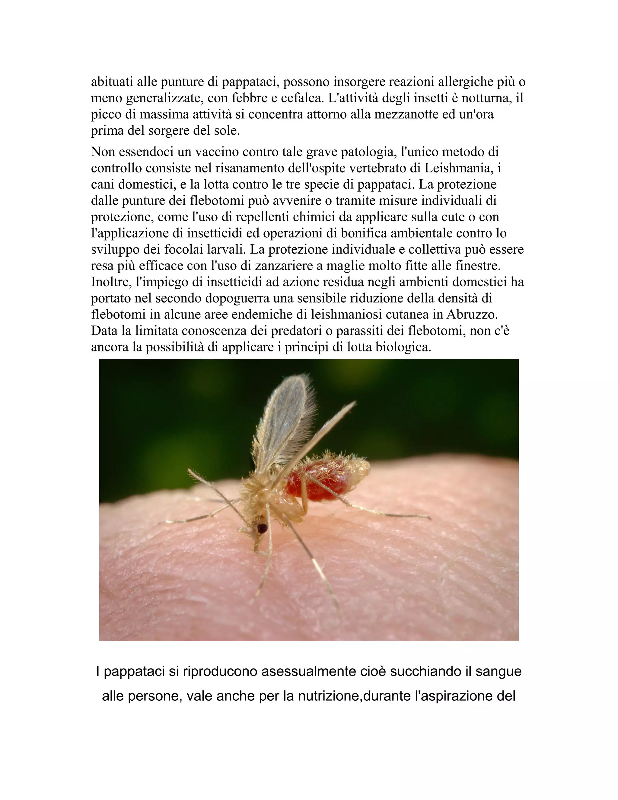 Pappataci.doc