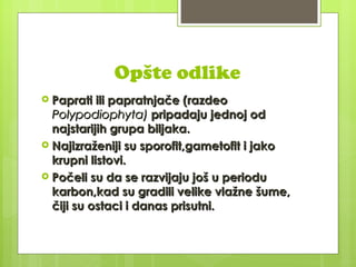Paprati | ODP