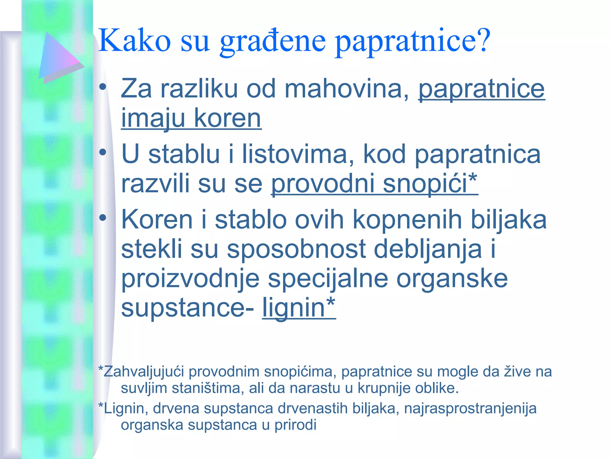 Papratnice | PPT