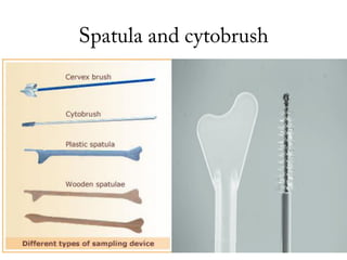 Pap smear and procedure | PPT