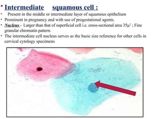 PAP SMEAR.pptx with gynae and pathology correlation | PPT