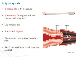 pap smear and cervical cytology for CIN & Cancers.pdf