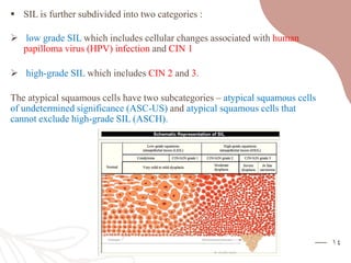 pap smear and cervical cytology for CIN & Cancers.pdf