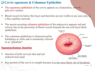 pap smear and cervical cytology for CIN & Cancers.pdf