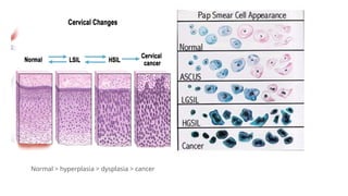 Pap Smear ppt for pathology staining + cytology | PPTX