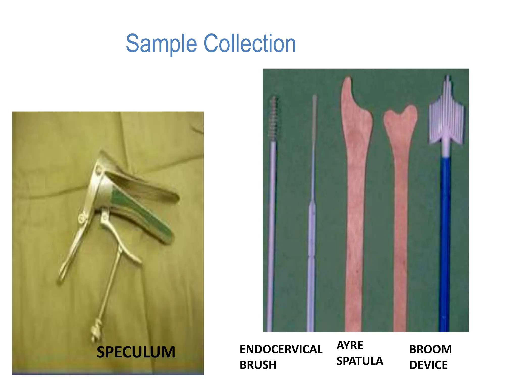 PAP SMEAR examination in cytology 23.pptx