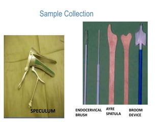 PAP SMEAR examination in cytology 23.pptx