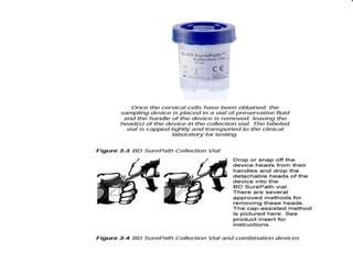 PAP SMEAR examination in cytology 23.pptx