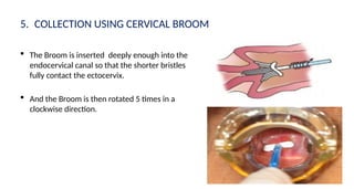 Pap smear, cells , classification ppt.pptx