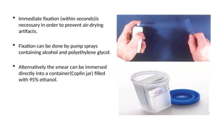 Pap smear, cells , classification ppt.pptx