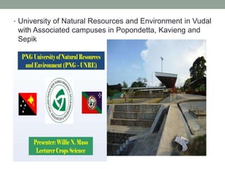Papua new-guinea-education-system | PPTX