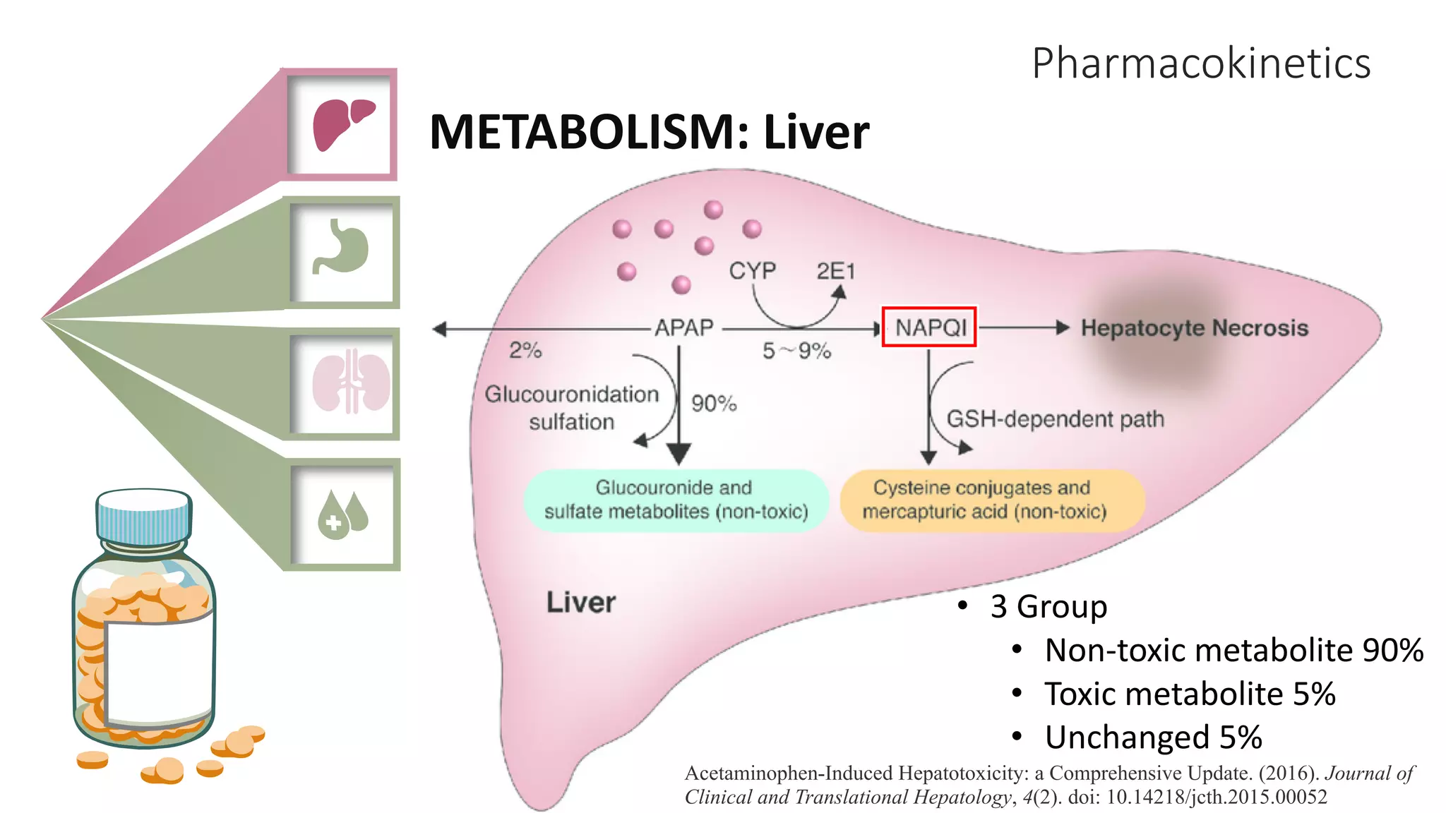 Paracetamol overdose | PDF