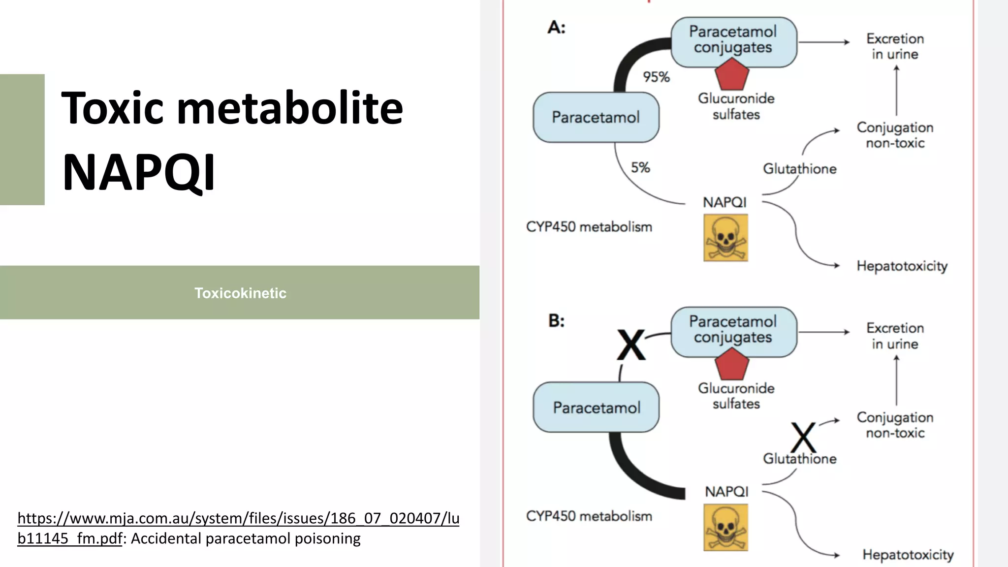 Paracetamol overdose | PDF