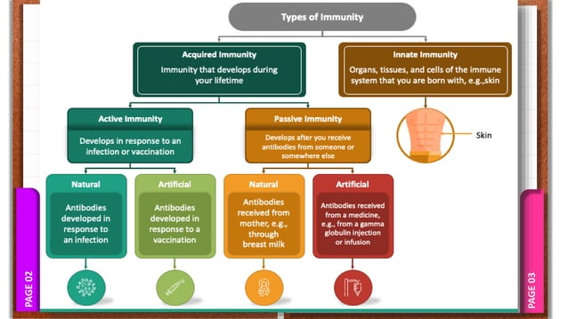 Natural and Acquired Immunity | PPTX | Infectious Diseases | Diseases ...