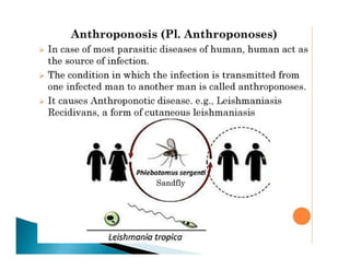 Para 201 lect 3.pptxaaaaaaaaaaaaaaaaaaaaaaaaaaaaaaaaaaa | PPTX