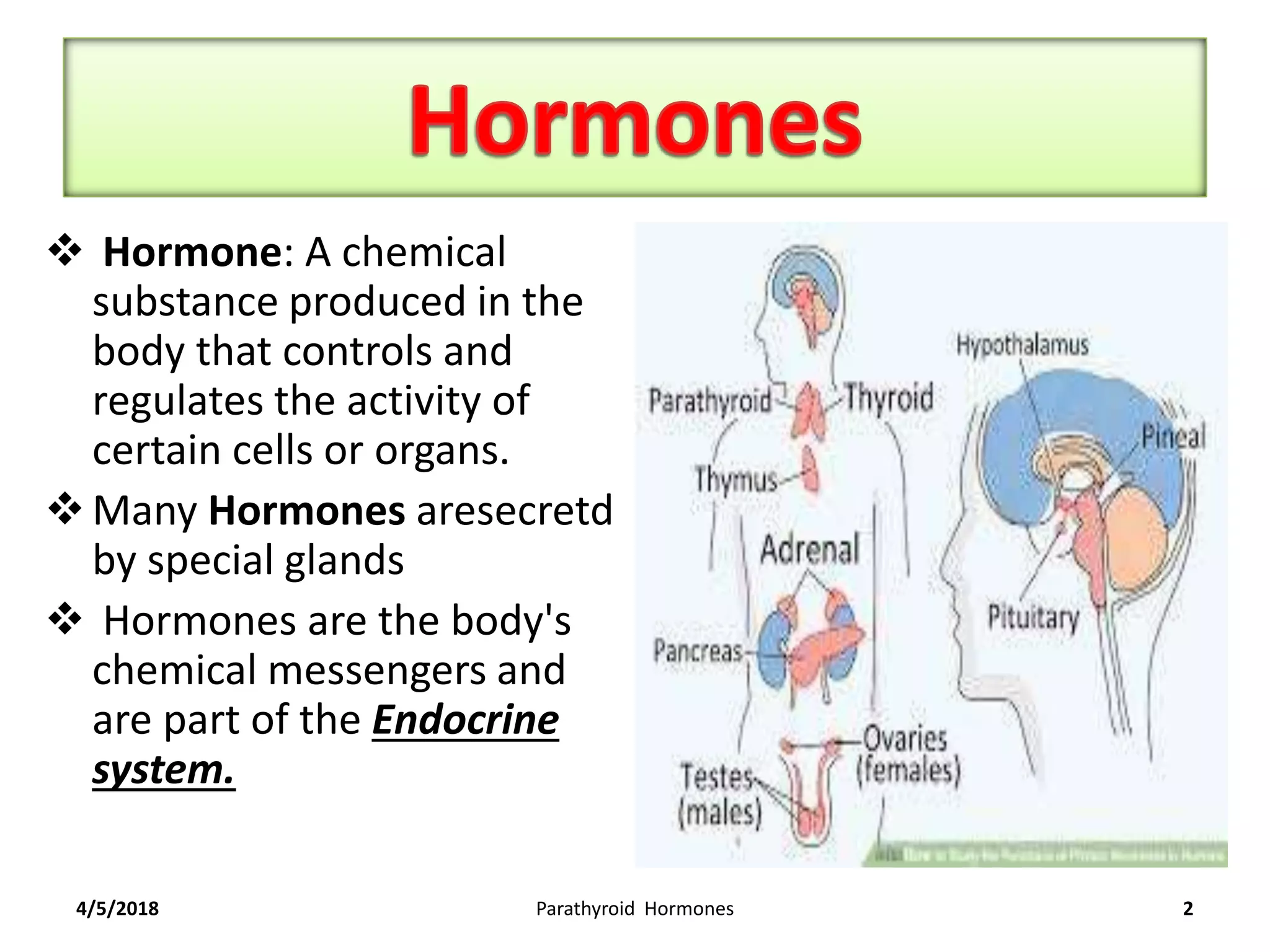 ParaThyroid Hormone Synthesis,Storge Secretion and Transportation | PPTX