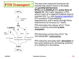 ParaThyroid Hormone Synthesis,Storge Secretion and Transportation | PPTX