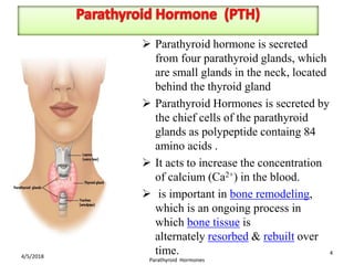 ParaThyroid Hormone Synthesis,Storge Secretion and Transportation | PPTX