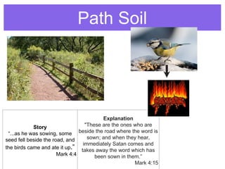 Parable of 4 soils pp | PPTX