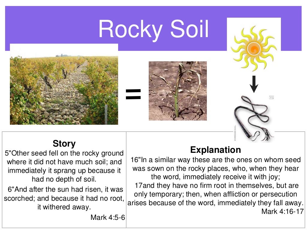 Parable of 4 soils pp