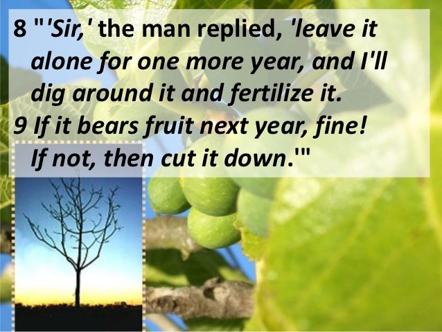The Fig Tree Parable Explained