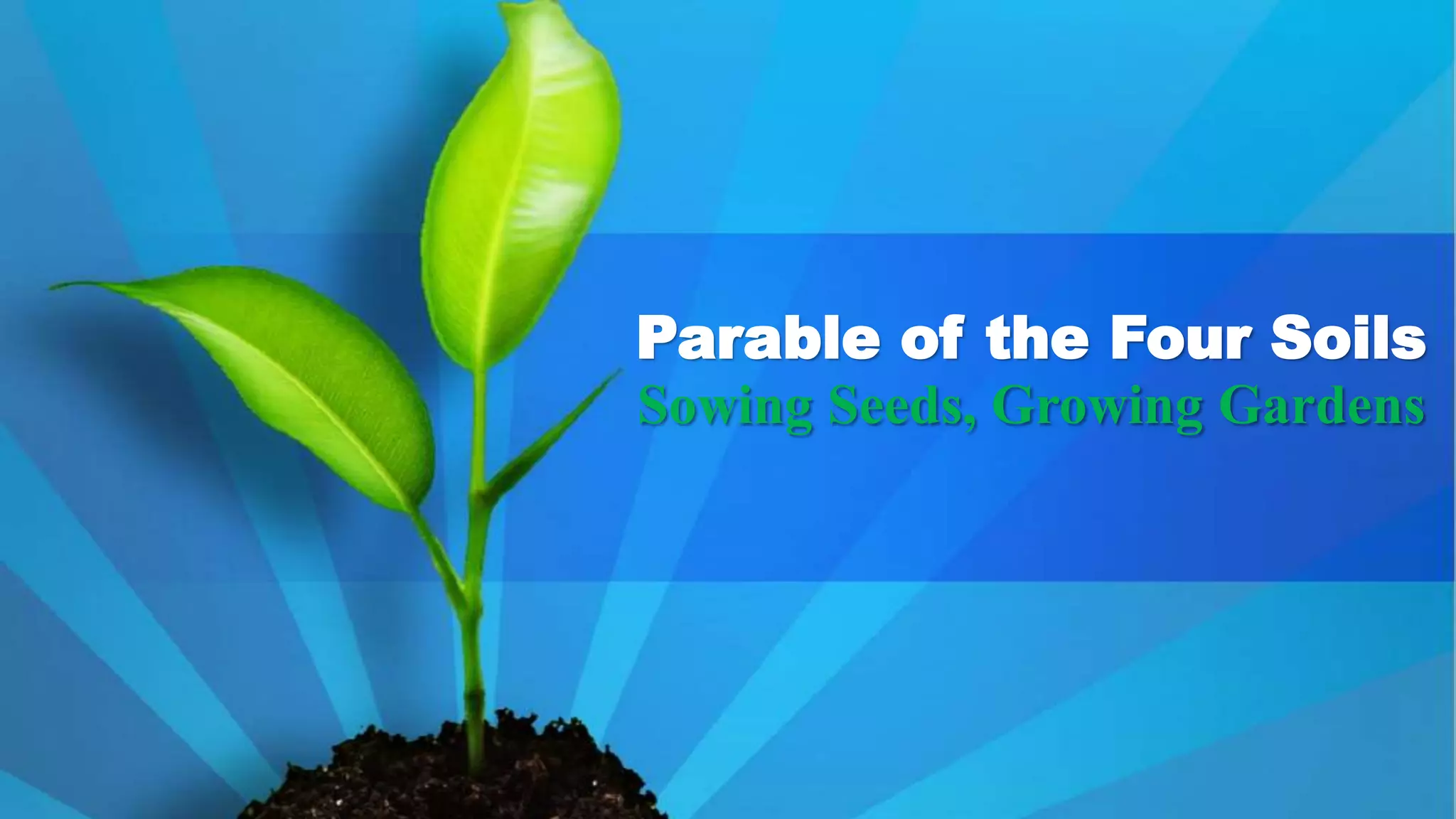 Sowing Seeds, Growing Gardens: Parable of the Four Soils | PPTX