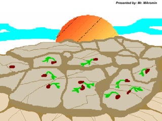 Parable of the seed sower | PPT